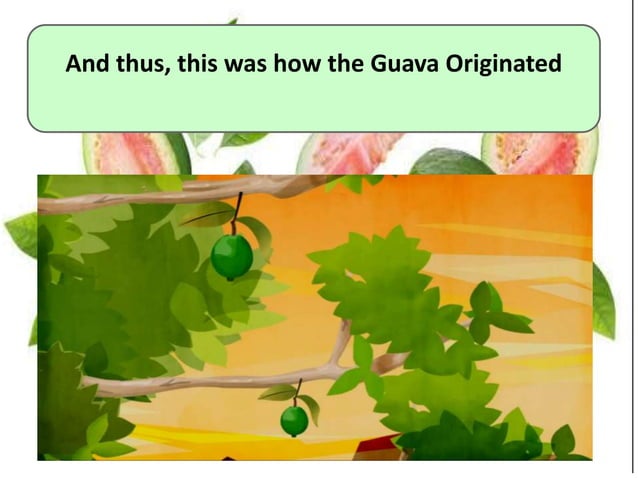 Legend of Guava | PPTX