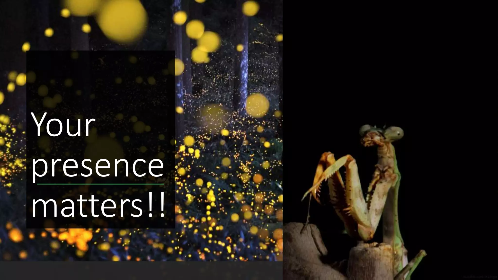 Legend of the firefly | PPTX