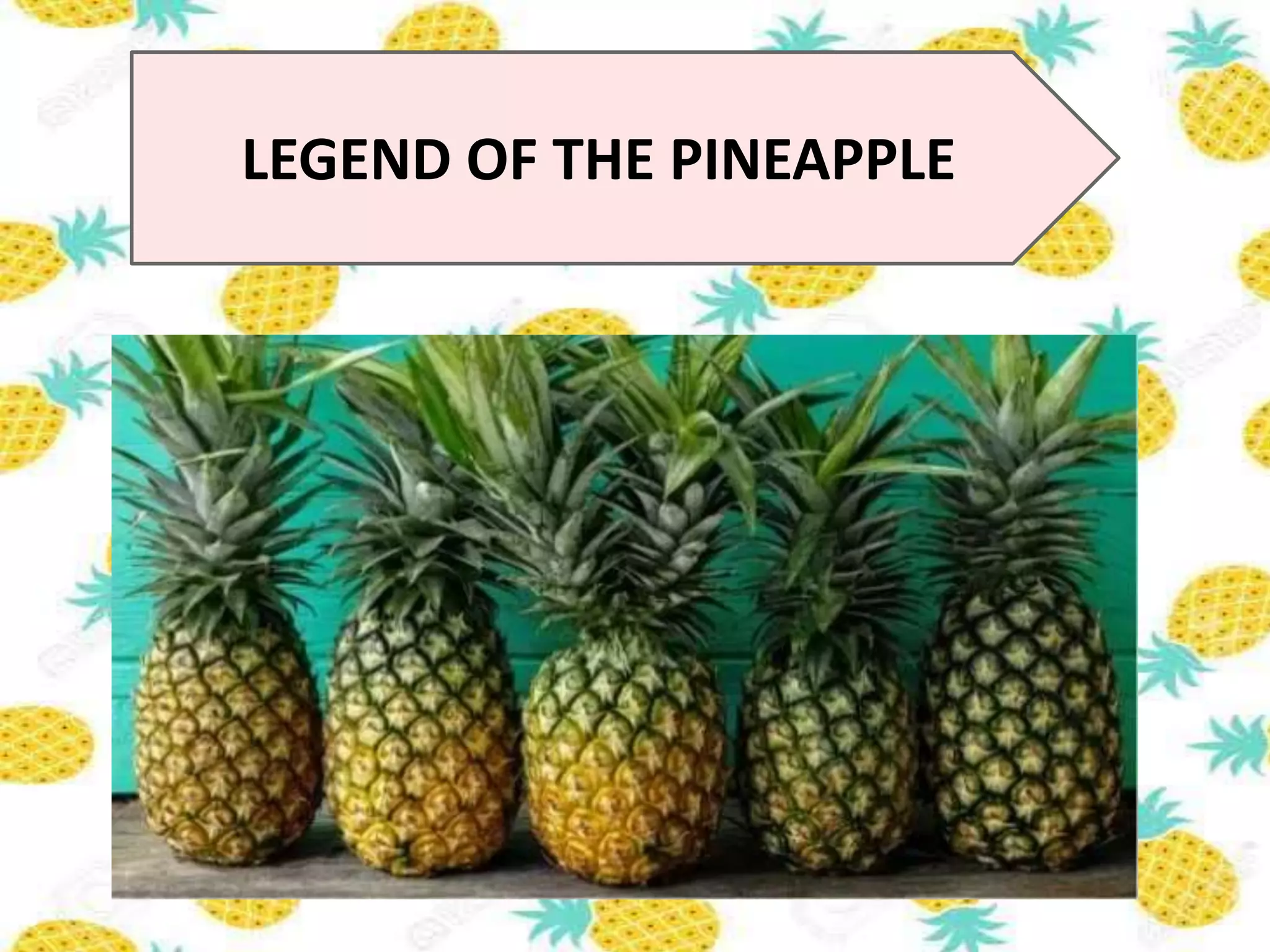 Legend of Pineapple | PPTX