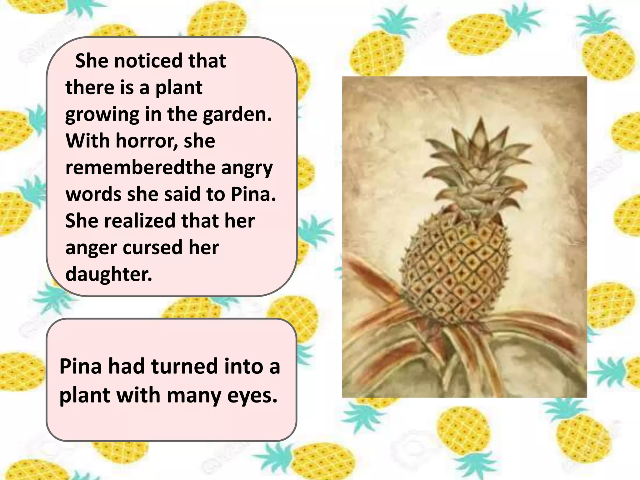 Legend of Pineapple | PPTX