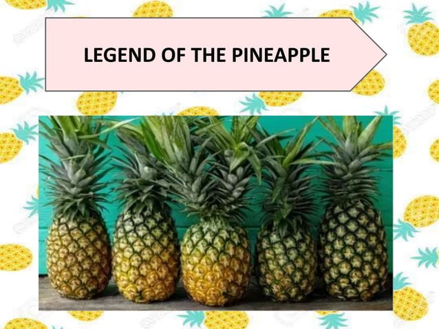 Legend of Pineapple | PPTX