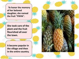 Legend of Pineapple | PPTX