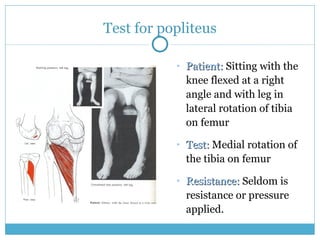 Leg&Foot 2 | PPT