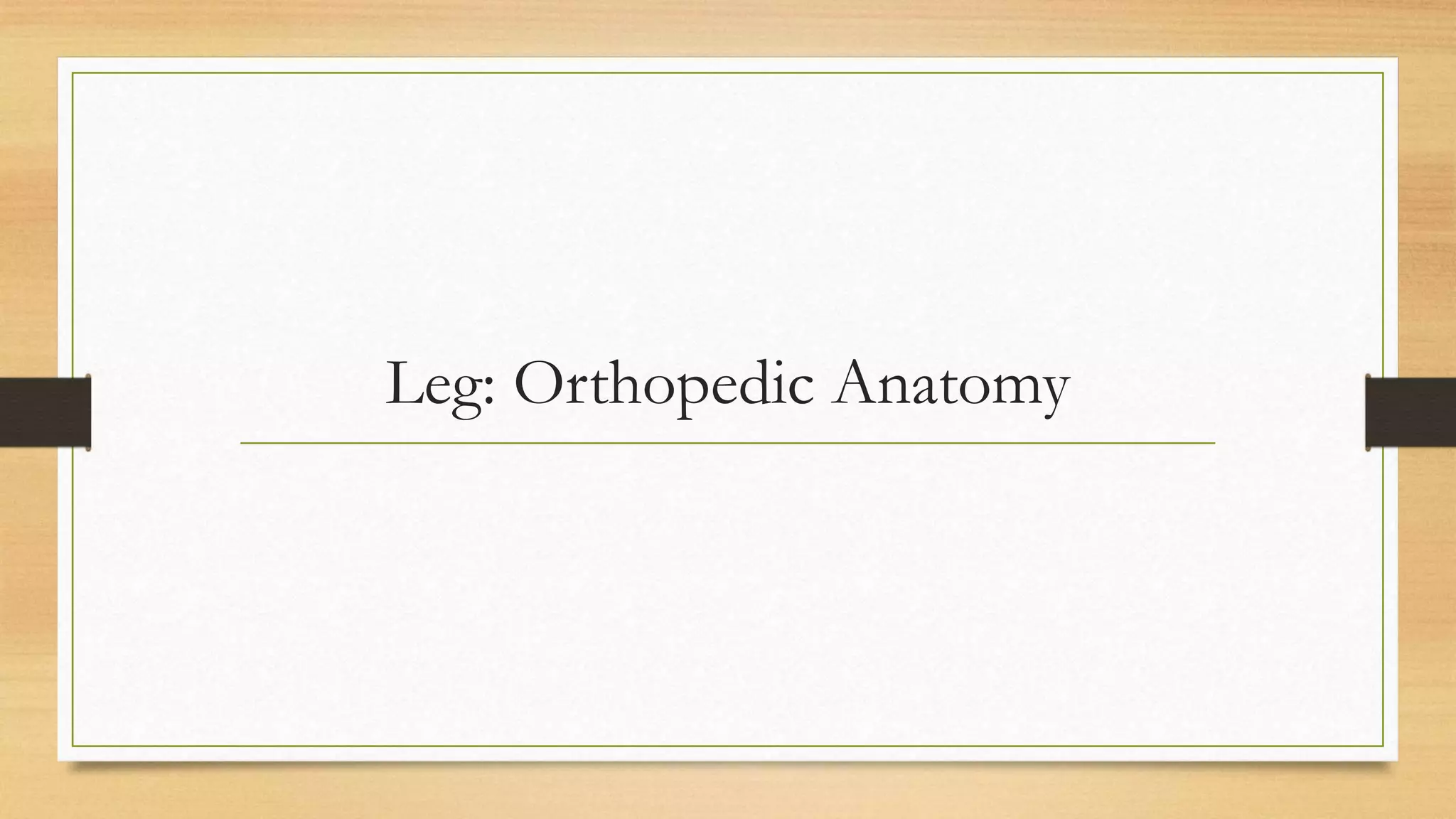 Leg: from anatomy to orthopedisc | PPTX