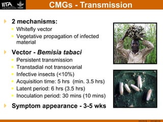 LeggJamesCambodiaCMD.pptx