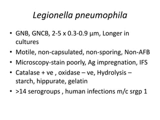 Legionella | PPTX