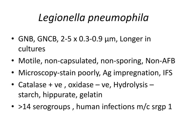 Legionella | PPTX | Infectious Diseases | Diseases and Conditions