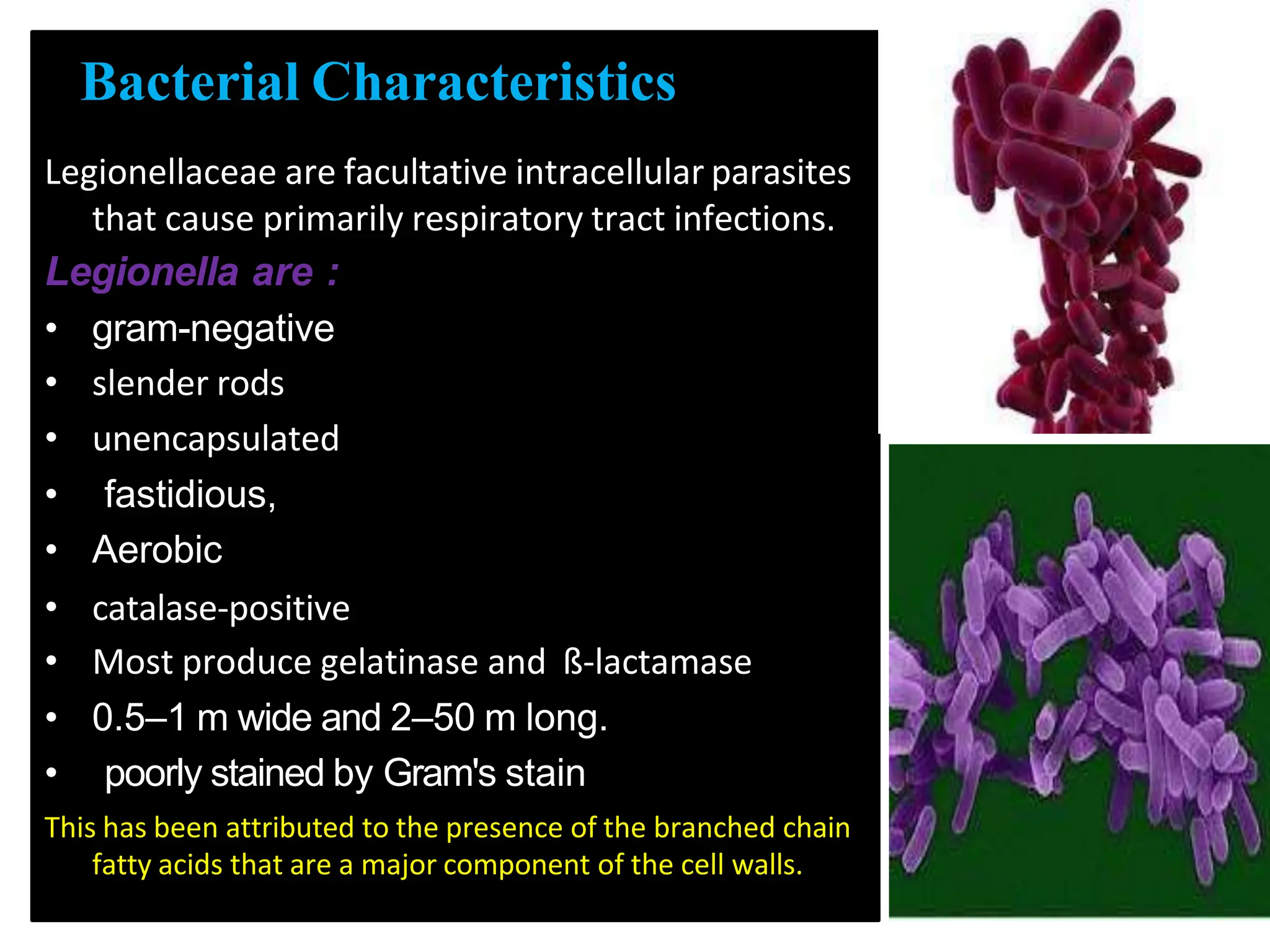 legionella, microbiology, bacteriologypptx | PPTX