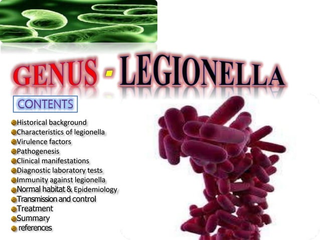 legionella, microbiology, bacteriologypptx | PPTX | Infectious Diseases ...