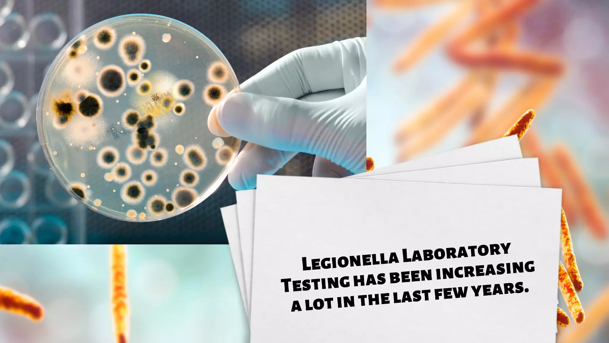Legionella Laboratory Testing | Biosan Laboratories | PDF