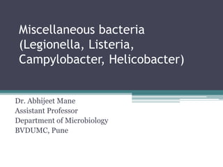 Legionella listeria campylobacter helicobacter | PPT