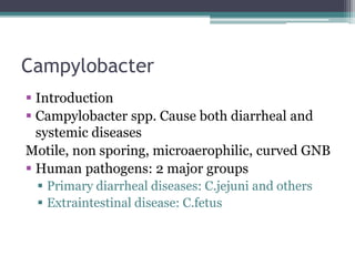 Legionella listeria campylobacter helicobacter | PPT