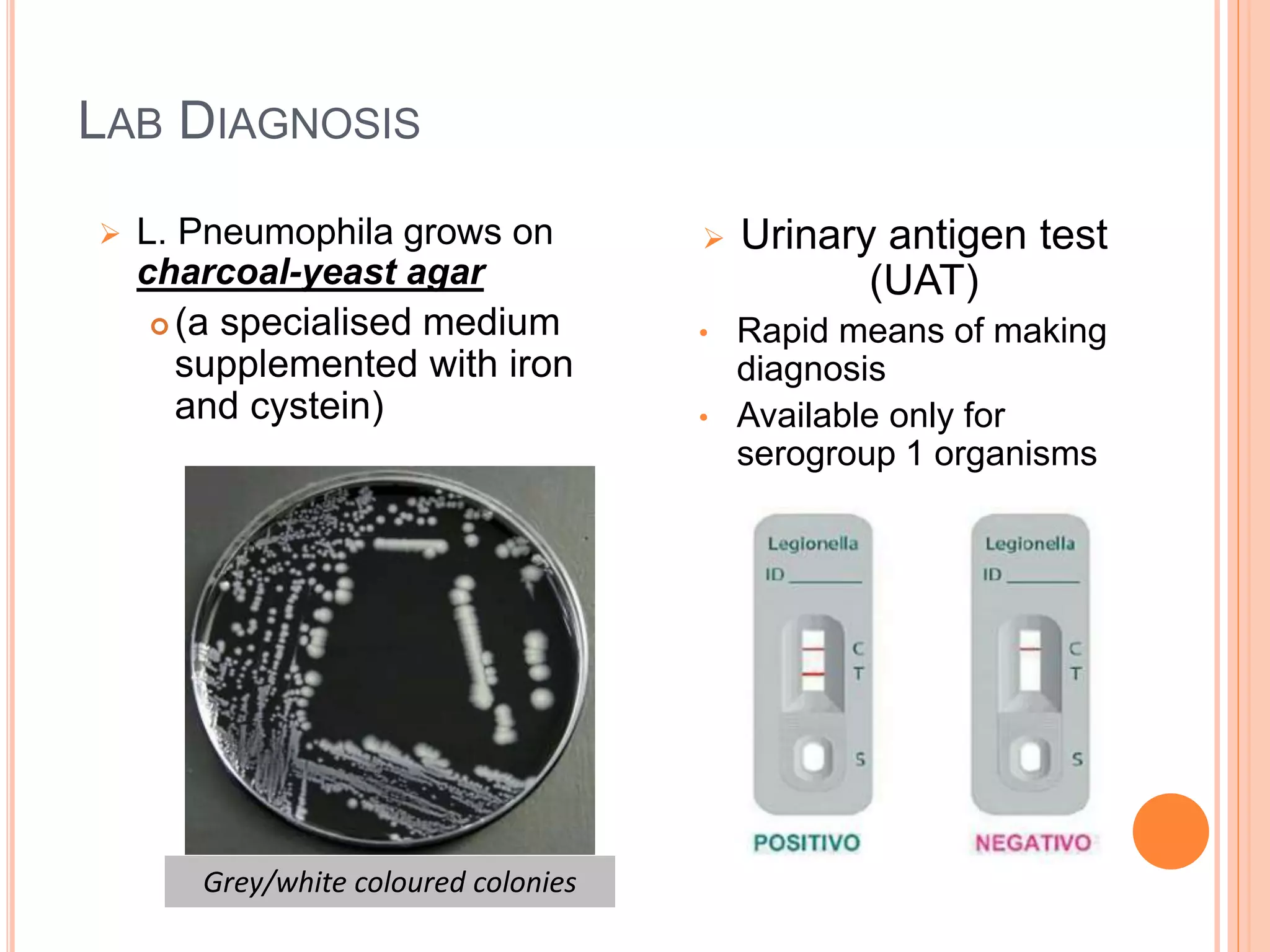 legionella Pneumophila | PPTX