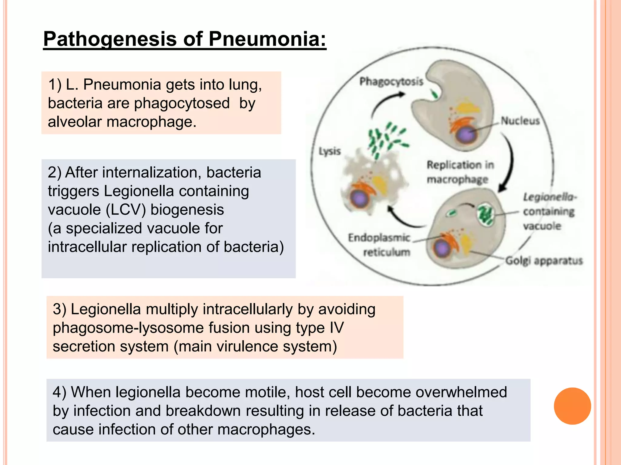 legionella Pneumophila | PPTX