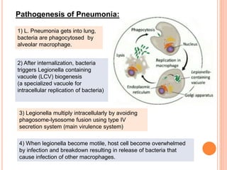 legionella Pneumophila | PPTX