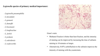 Legionella pneumophila Clinical Diagnosis, Pathogenesis & Nosocomial ...