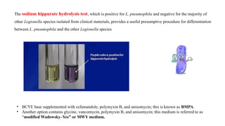 Legionella pneumophila Clinical Diagnosis, Pathogenesis & Nosocomial ...