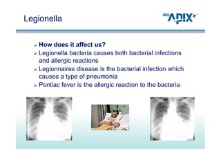 Legionella Presentation - NESHEP (Oct 2012) | PPT