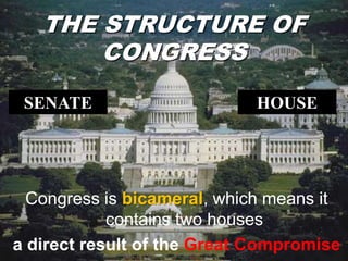 The Legislative Branch | PPTX