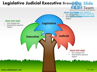 Legislative judicial executive branches powerpoint presentation slides ...