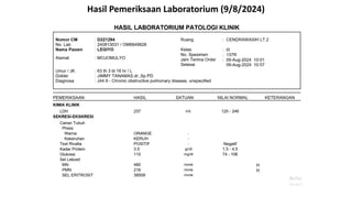 Legiyo - Renal Cell Carcinoma T3bN1 M1, Hipotensi, Hiponatremia (124 ...
