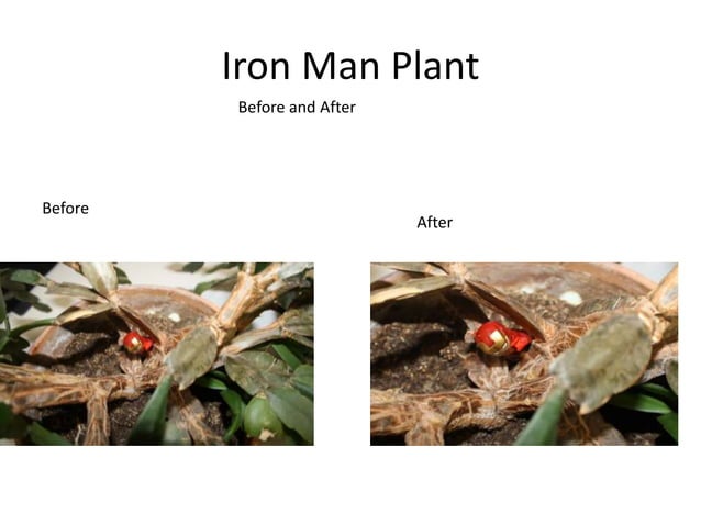 Lego macro photography | PPTX