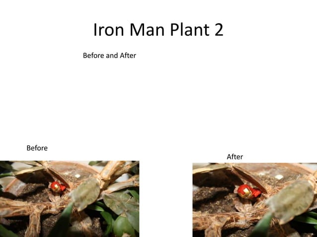 Lego macro photography | PPTX