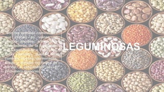 LEGUMBRES Y LEGUMINOSAS, CARACTERISTICAS. FAMILIA Y ORIGEN.pptx
