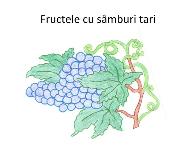 Legumele si fructele | PPS