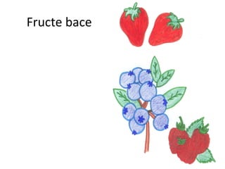 Legumele si fructele | PPS