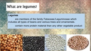 Legumes and nuts | PPTX