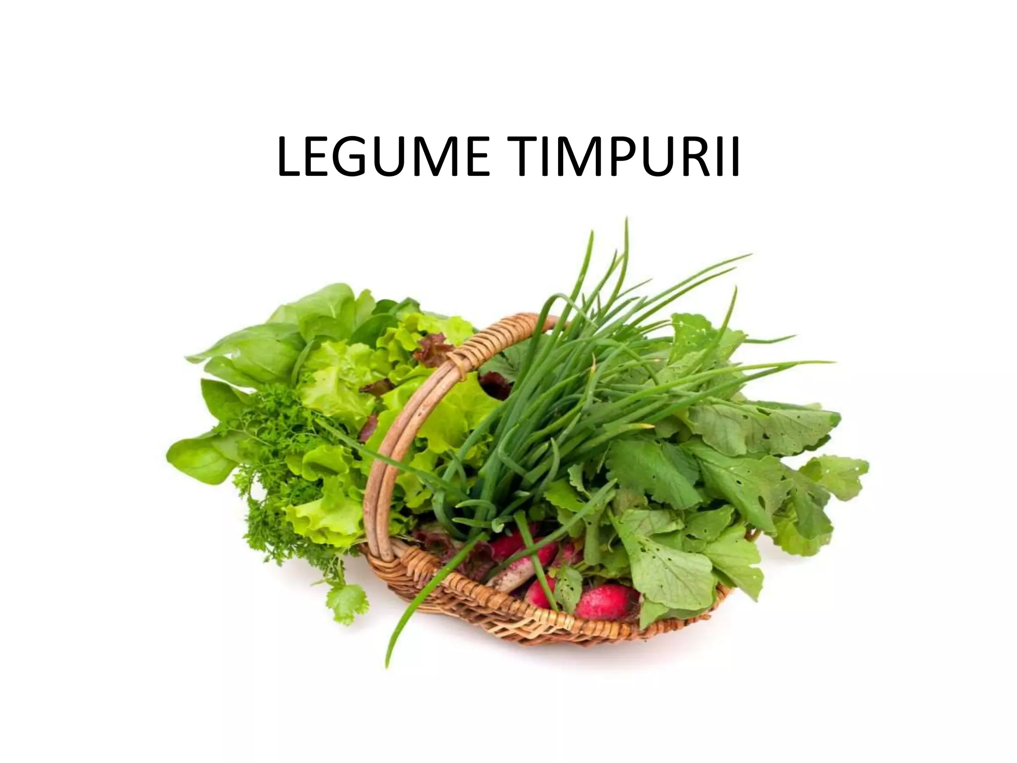 LEGUME TIMPURII.ppt