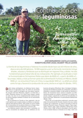 Leguminosas | PDF