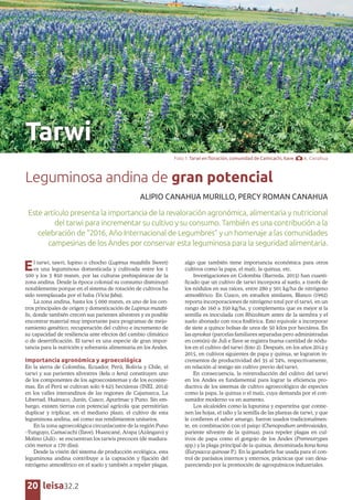 Leguminosas | PDF
