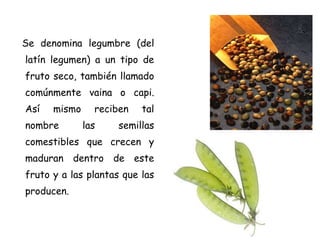 Leguminosas[1] | PPTX