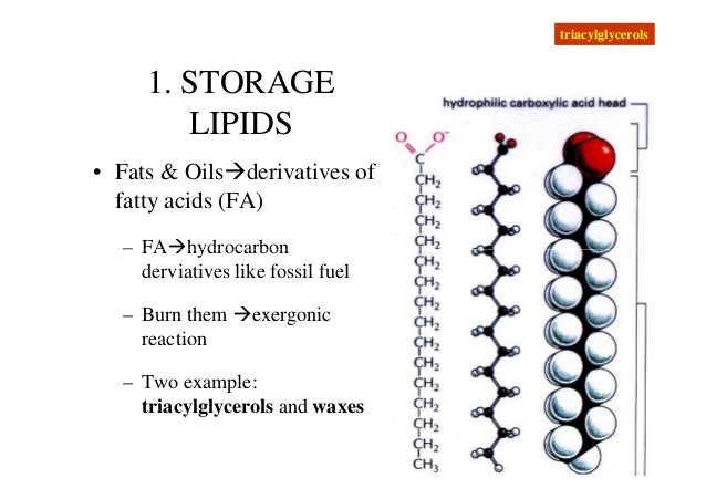 Learning Keys , Lehninger Chapter # 10 LIPIDS
