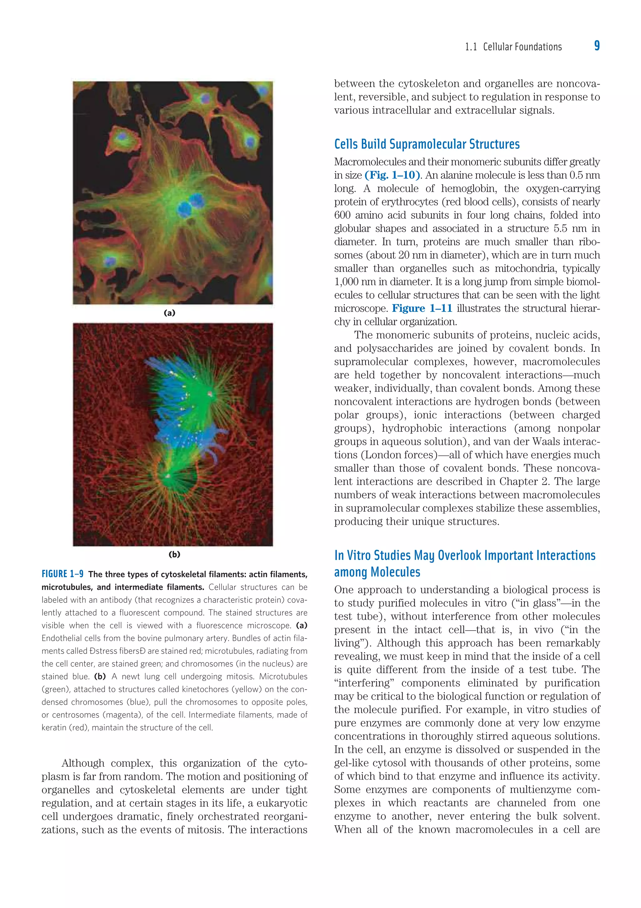 lehninger.pdf