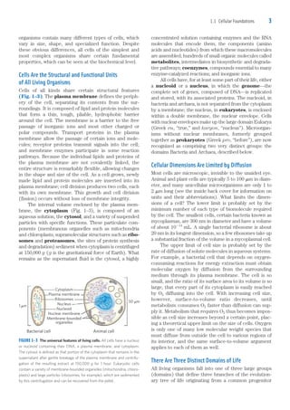 lehninger.pdf