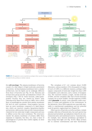 lehninger.pdf