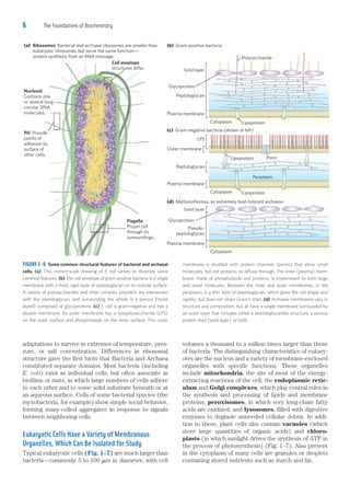 lehninger.pdf