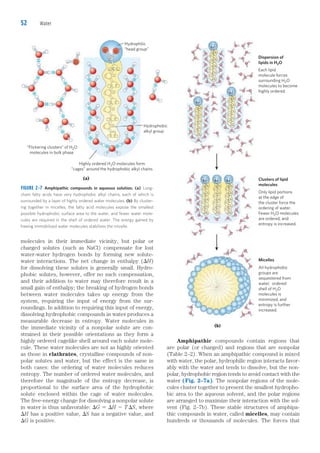 lehninger.pdf