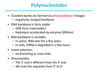 Lehninger_Ch8_Nucleotides.ppt that works | PPT