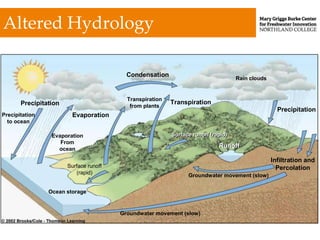 Climate Change Impacts on Hydrology and Water Quality | PPTX