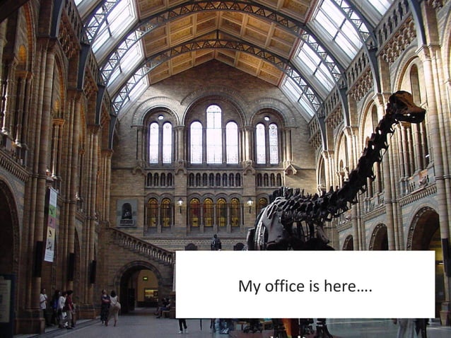 The Evolution of Museums | PPT