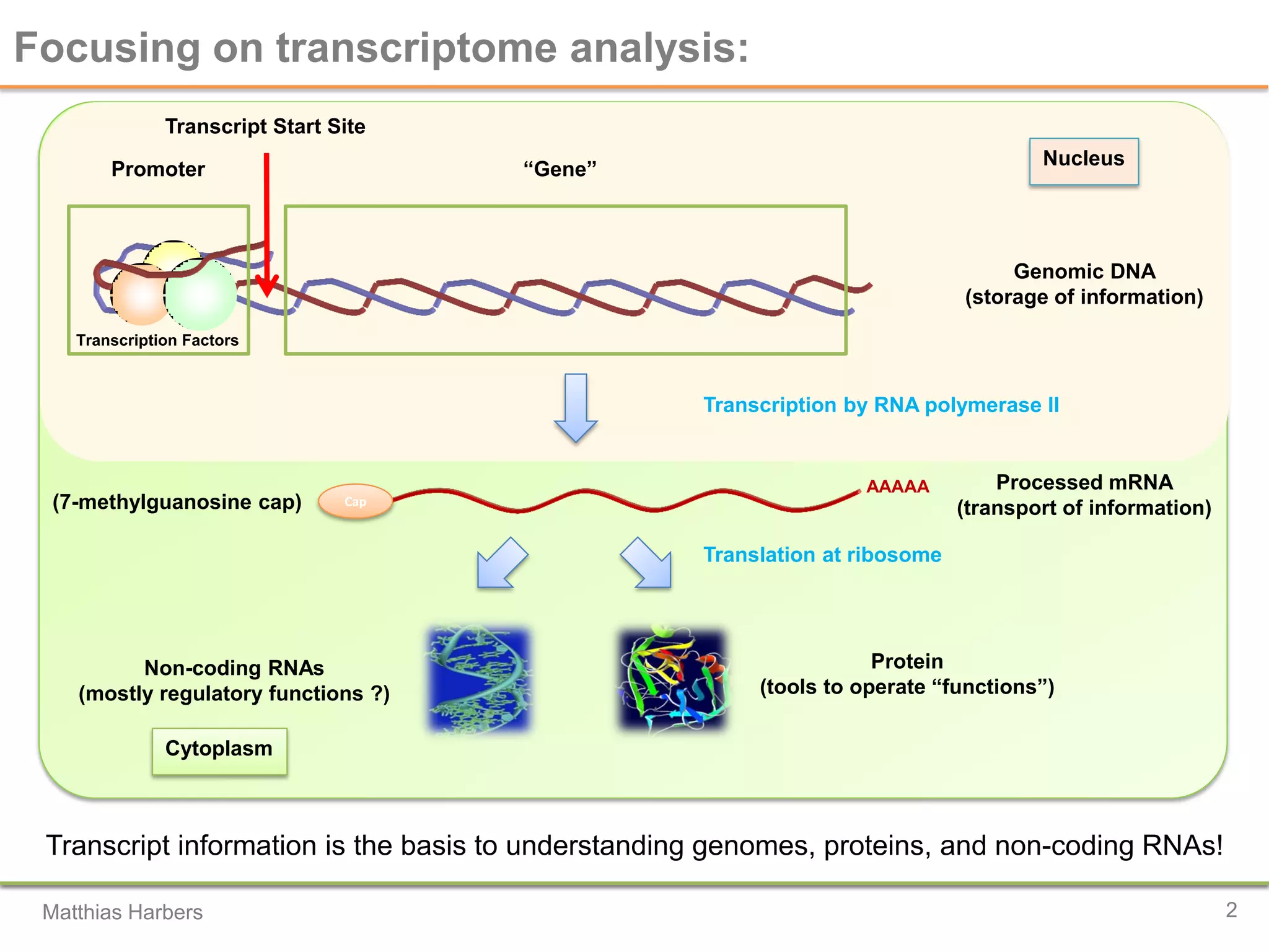 Tag-based transcript sequencing: Comparison of SAGE and CAGE | PDF
