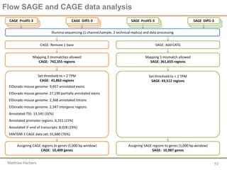 Tag-based transcript sequencing: Comparison of SAGE and CAGE | PDF
