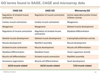 Tag-based transcript sequencing: Comparison of SAGE and CAGE | PDF