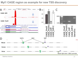 Tag-based transcript sequencing: Comparison of SAGE and CAGE | PPT