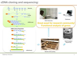 Tag-based transcript sequencing: Comparison of SAGE and CAGE | PDF