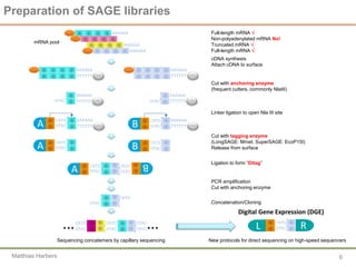 Tag-based transcript sequencing: Comparison of SAGE and CAGE | PDF